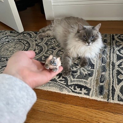 Personalized Custom Dog Wedding Cake Topper , Pet Caketopperpets ...