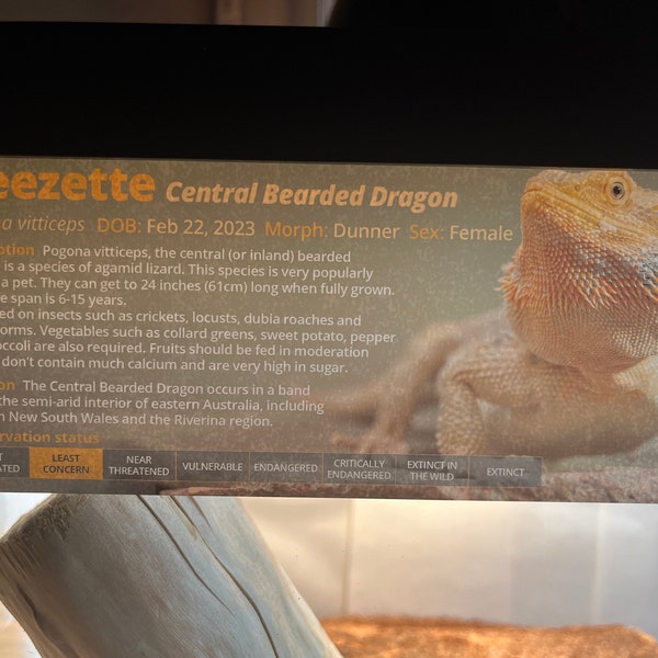 Reptile Enclosure Labels Bearded Dragon Information Sticker - Glossy ...