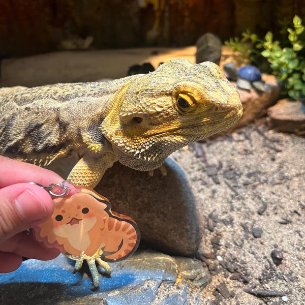 White Arctic Fox Acrylic Glitter Keychain | Kawaii Chibi Wild Animal ...