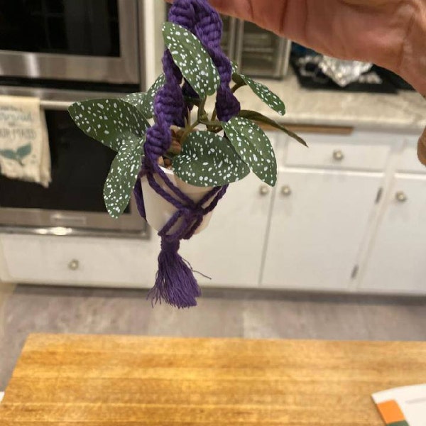 Sassy Sayings Ceramic Plant Pot With Drainage,funny Succulent Pot,plant ...