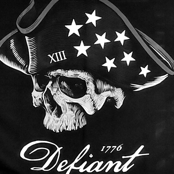 Patriotic Defiant Sticker - Etsy