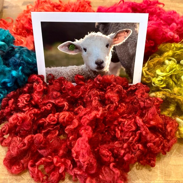 Groovy | Cotswold Curly Lock Wool | Felting Wool | Doll Making Wool ...