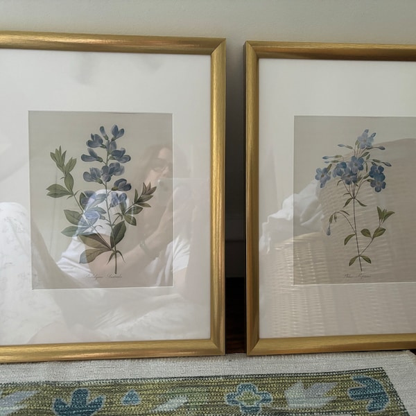 Vintage Botanical Prints Gallery Wall Set of 8, Vintage Neutral ...