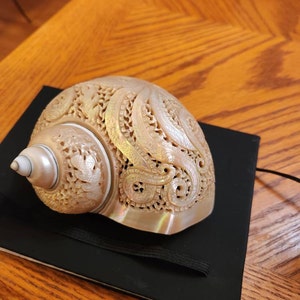 Carved Pearl Nautilus Shell Dragon Carving,real and Natural Nautilus ...