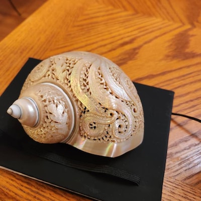 Carved Pearl Nautilus Shell Dragon Carving,real and Natural Nautilus ...