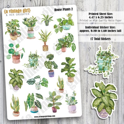 House Plants Watercolor Clipart COMMERCIAL 22 Indoor Plants Clip Art ...