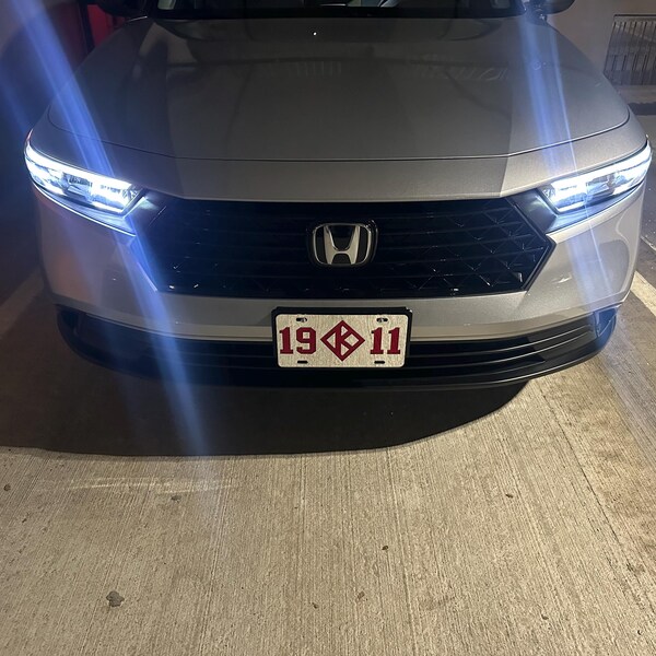 Delta Sigma Theta- DST License Plate Red Background Mirror Letters ...