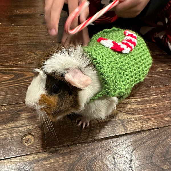 DIGITAL DOWNLOAD PDF Guinea Pig Crochet Pattern Decorative Diaper Style ...