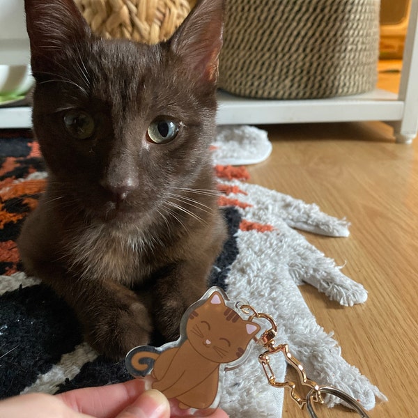 Over-it Cat on Laptop Sticker - Etsy