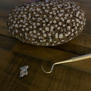 Picky Party Fully Covered Caribbean Blue Sensory Picking Stone - Etsy