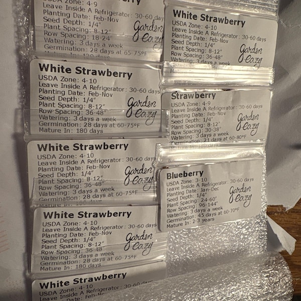 Cold Hardy Chili Pepper Seeds - Capsicum Flexuosum, Aka February Fire ...