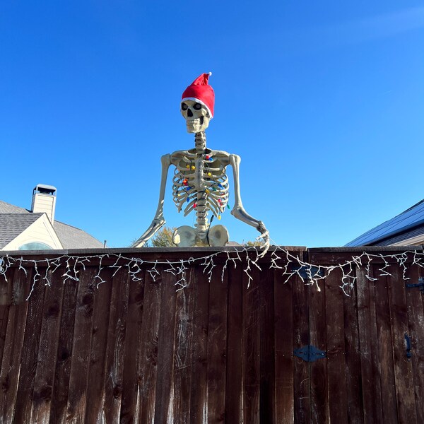 Home Depot 12 Foot Skeleton Skelly Santa Hat Halloween Christmas ...