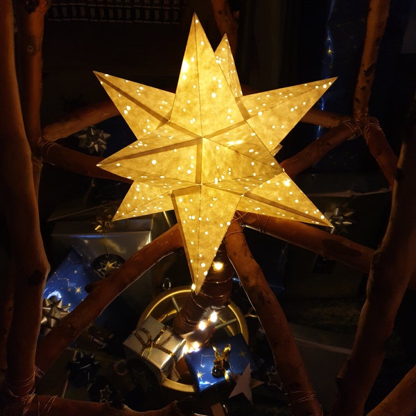 3D Flower Star Luminary Lantern - SVG CUTTING File and Pdf Special ...