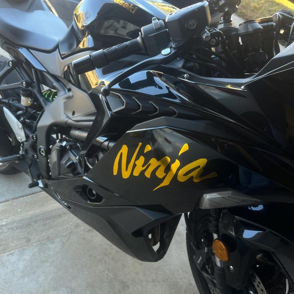 Demon Decal Right Face - Etsy