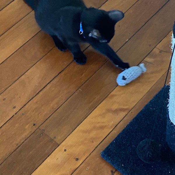 Salty Sardine | Crochet Cat Toy | Crochet Pattern | Easy | Beginner ...