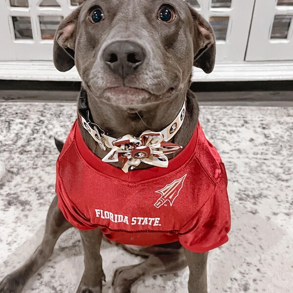 Handmade Duck Collar. Coco Collar. Green and Brown Jacquard Ribbon. for ...