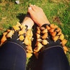 Chachayotes Ayoyotes Ayotl Coyoleras 100 Shells - Etsy