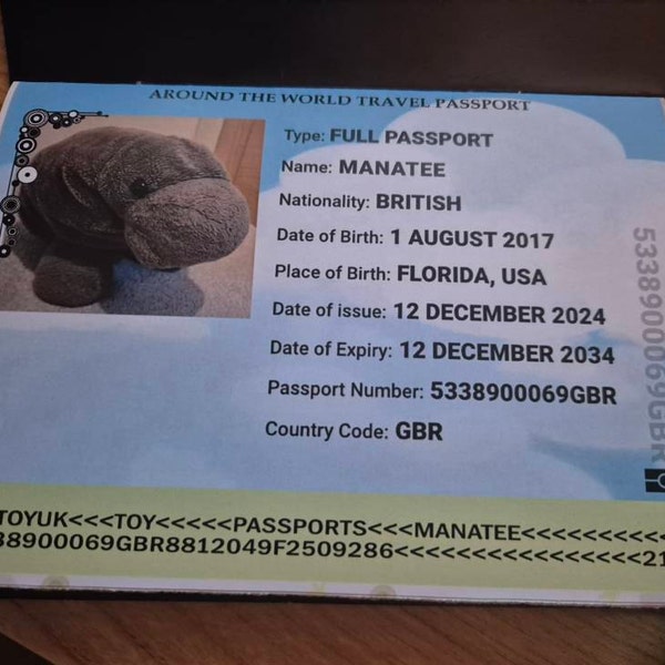 Personalised Toy Passport: Custom Photo & Birth Details - Etsy