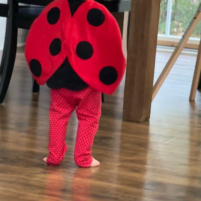 Ladybug Costume, Toddler Girl Halloween Costume, Ladybird Red Cape ...