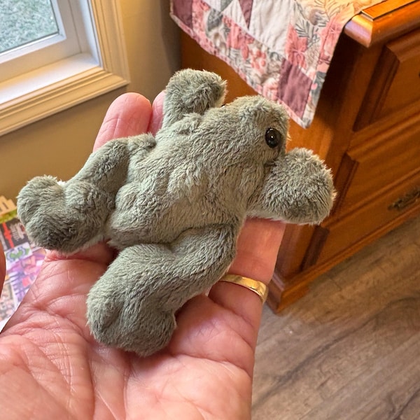 Fidget Frog, Pocket Frog Sensory Comfort Toy, Autism Sensory Toy for ...