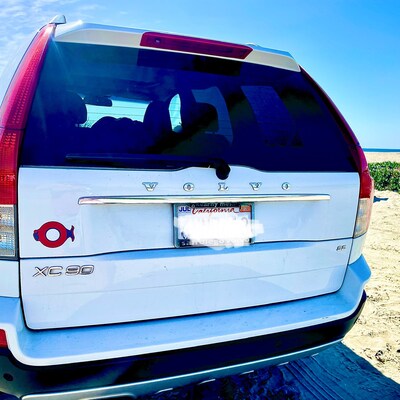 Telluride Wilson Patch - Etsy