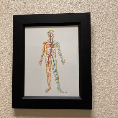 Circulatory System Watercolor Print Body Systems Watercolor Print ...