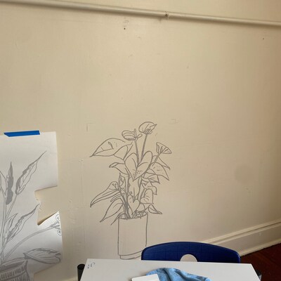 Hand Drawn Young Swiss Cheese Potted Plant Wall Decal Modern - Etsy