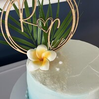 Gumpaste Cake Decorations WHITE Gum Paste Blossoms 24 Piece - Etsy