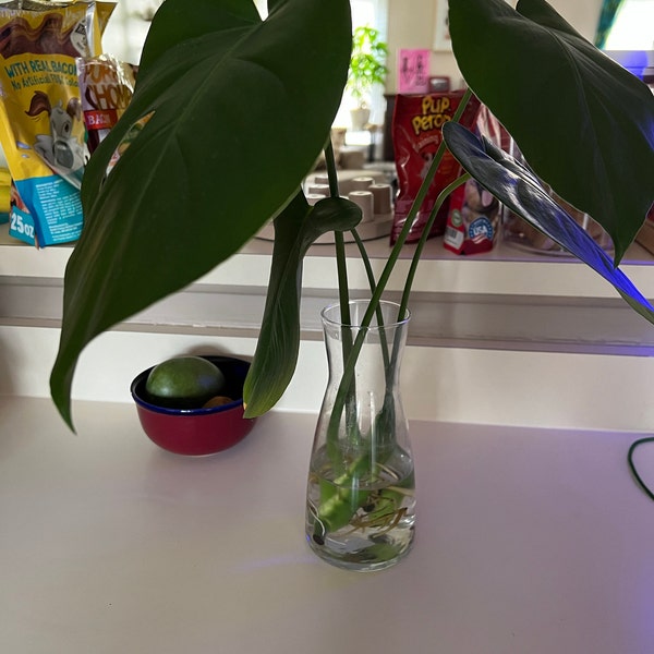 Daily Goal Worksheet Printable , Weekly Goal Worksheet Printable, Daily ...