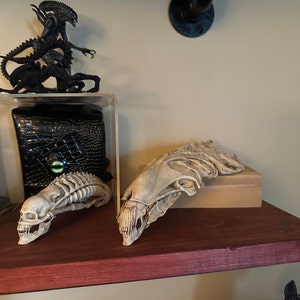 Tigrex Skull monster Hunter - Etsy