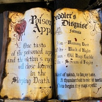 The Grand High Witch Formula 86 Delayed Action Mouse-maker Spell Book ...