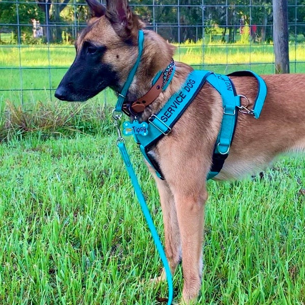 X Back Y Front Dog Harness - Custom Made With Vinyl and Webbing - Etsy