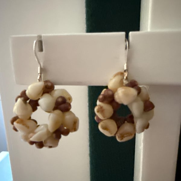 Kahelelani Shell Necklace Rare Shells Shell Lei Kauai Shells Hawaiian ...