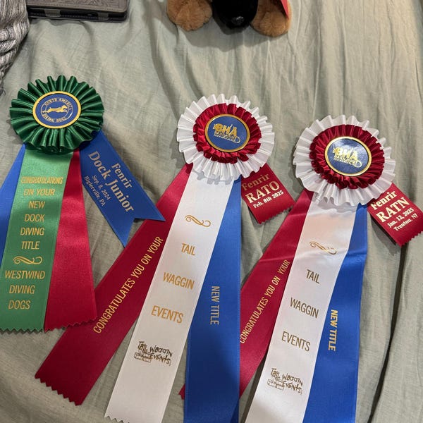 AKC Virtual Rally Title Ribbon Rosette - Novice, Intermediate, Advanced ...