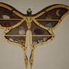 Coppermoon Luna Moth Crystal Shelf, Luna Moth Shelf, Luna Moth Wooden ...