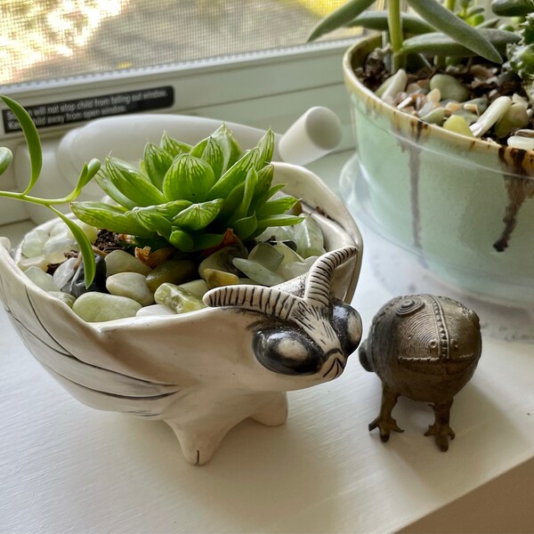 Mini Blue Architectural Succulent Planter Indoor Garden Pottery - Etsy