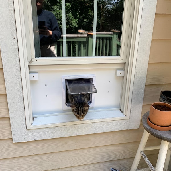 CAT DOOR LOCKS - Etsy