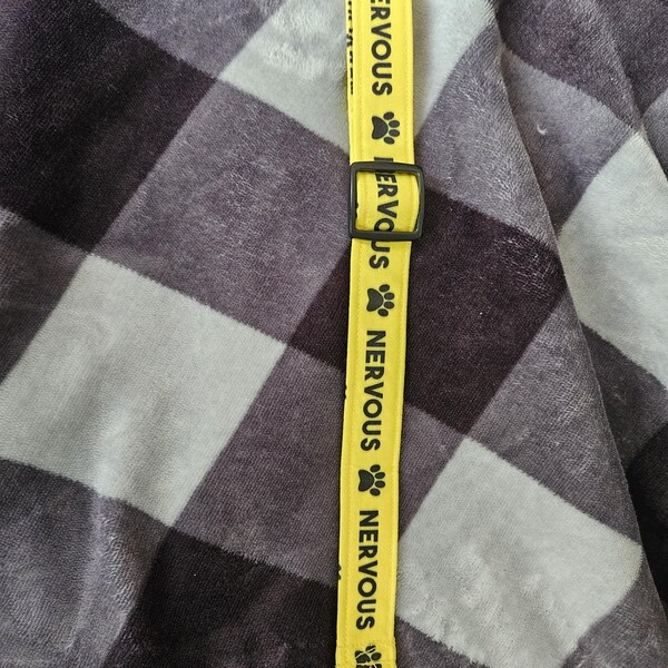 Dog Collar/fresh Out of Fus Dog Collar/ Flower Dog Collar/ Cussing Dog ...