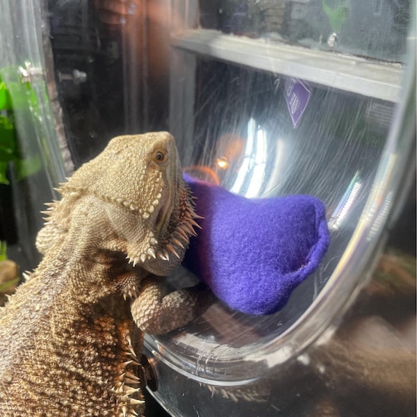 Rat Dress for Rat Crochet Dress for Pet Rat Sweater for Fancy Rat ...