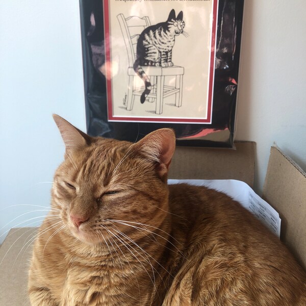 Kliban Cat Poster- 1977- Love to Eat Them Mousies - Etsy