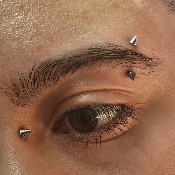 2PCS 16G 18G Titanium Internally Threaded Spike Eyebrow Rook Rings/rook ...
