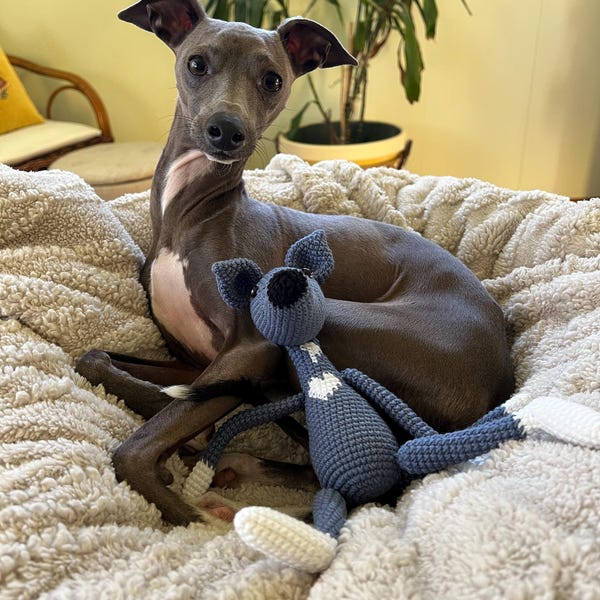 Crochet Pattern - Turtle Duck, Crochet Toys, Easy Pattern, Duck Crochet ...