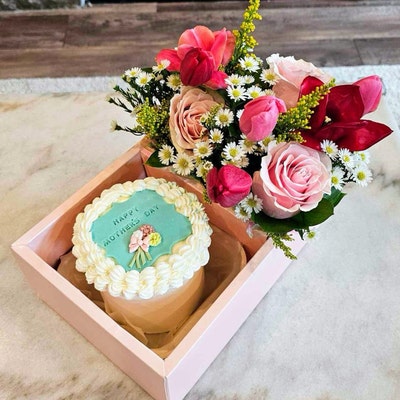 10 Cake and Cupcakes Bento Boxes With Clear Lid and Cupcake Holes, Cake ...