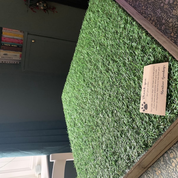 Dog Training Pivot Box and Place Board 2 Piece Bundle for Dog Agility ...