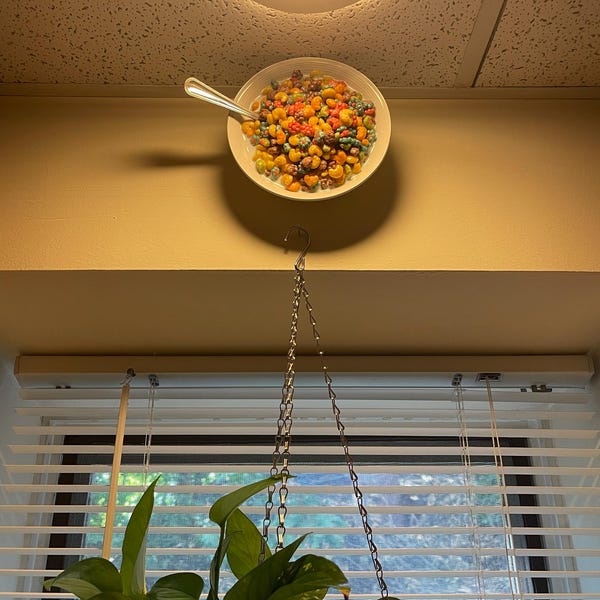 Hanging Faux Food Cereal Wall Art Decor Bespoke Lucky Charms Fruit ...