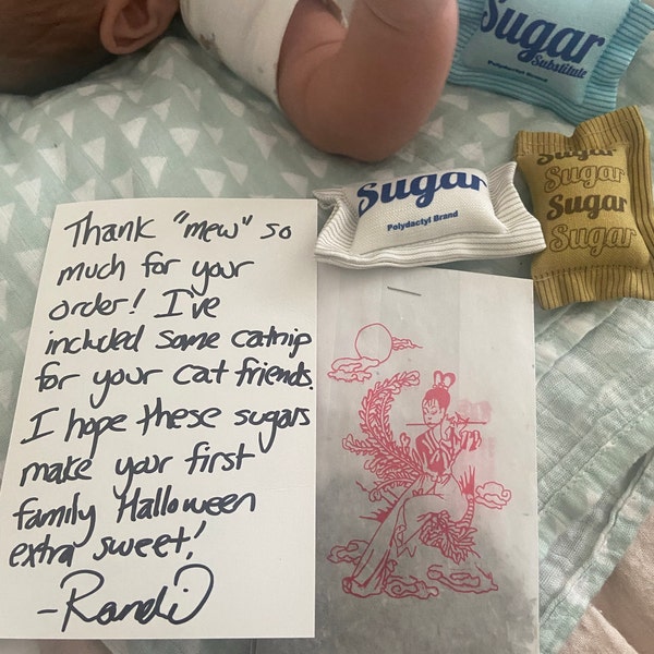 Chinese Takeout, Asian Hot Sauce Packet Catnip Cat Toy - Etsy