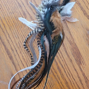 Feather Hair Extension Kit, 6 Real Feathers, Pick Your Length Short to ...