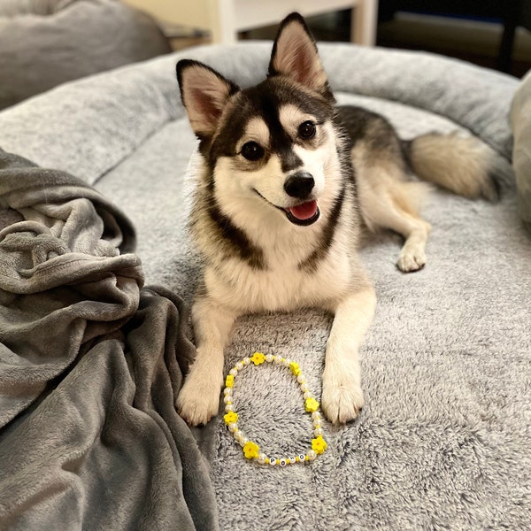 Dog Hat With Adjustable Strap // Y2K Hat / Pet Accessories for Cat Hat ...