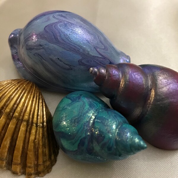 White Sea Shell Mix Beach Wedding Decor Sea Shells Bulk Bag of Shells ...