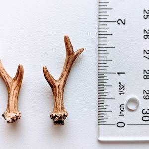 Miniature Deer Antlers Miniature Antler for Dollhouse Museum Collection ...
